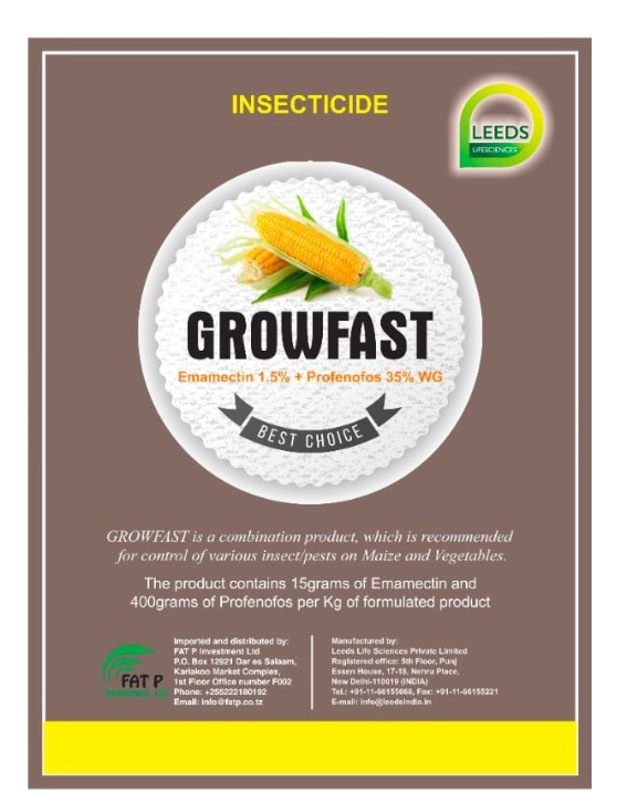 FAT P Investment Ltd